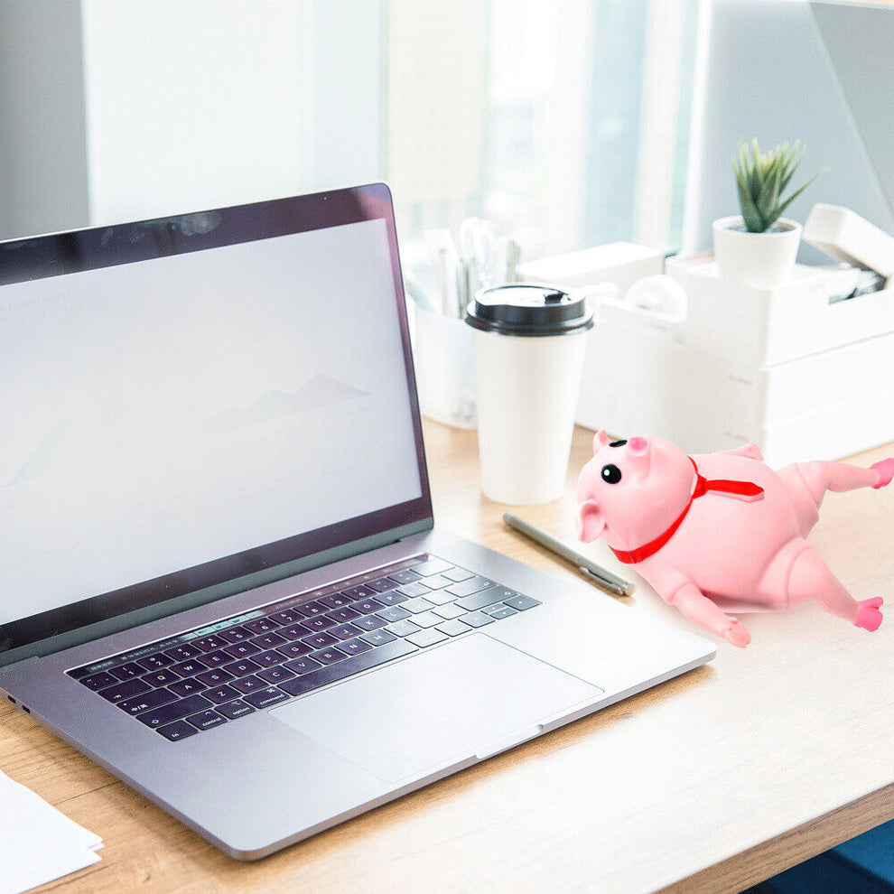 RelaxPig™ Stress Relief Toy – JINEE STORE